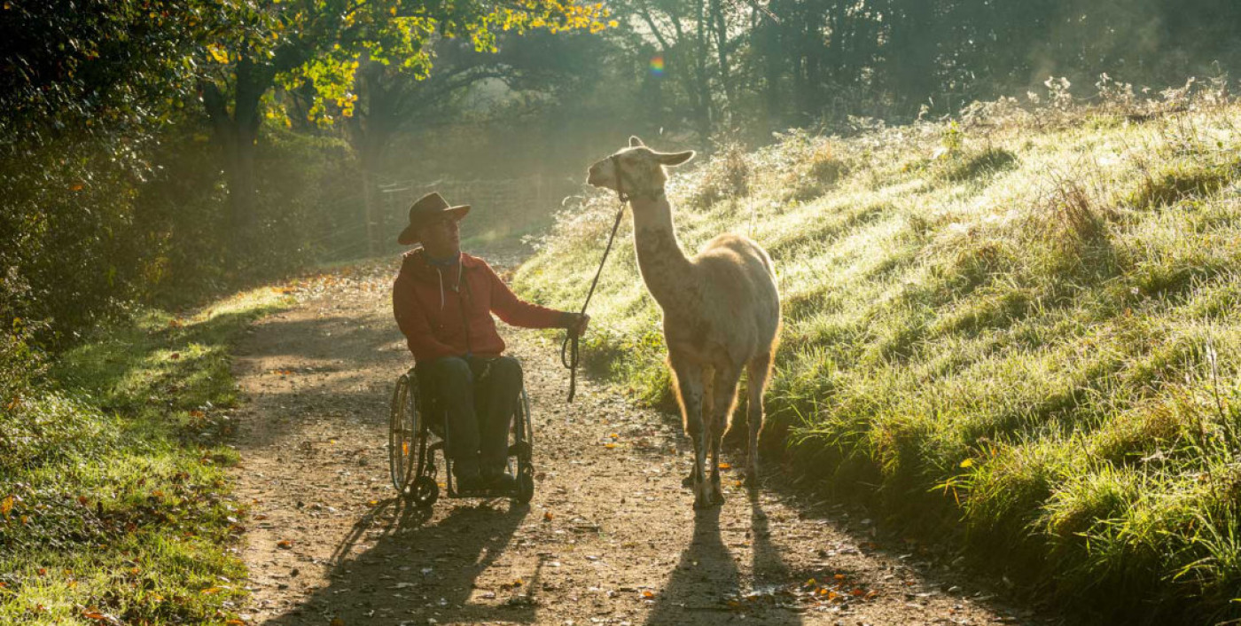 Auf Tuchfühlung mit Schmetterlingen und Lamas - Barrierefrei erleben