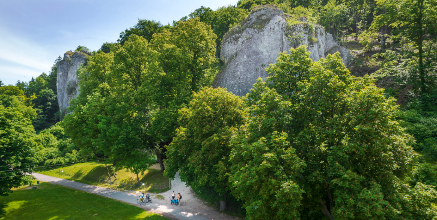 Welterbehöhle Hohle Fels im Achtal: barrierefreies Höhlenerlebnis auf ...